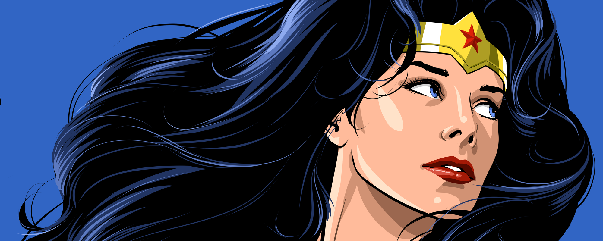 Portfolio Archive - Matt Haley